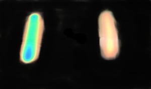 SSERC | Physics – CfE levels 3 & 4